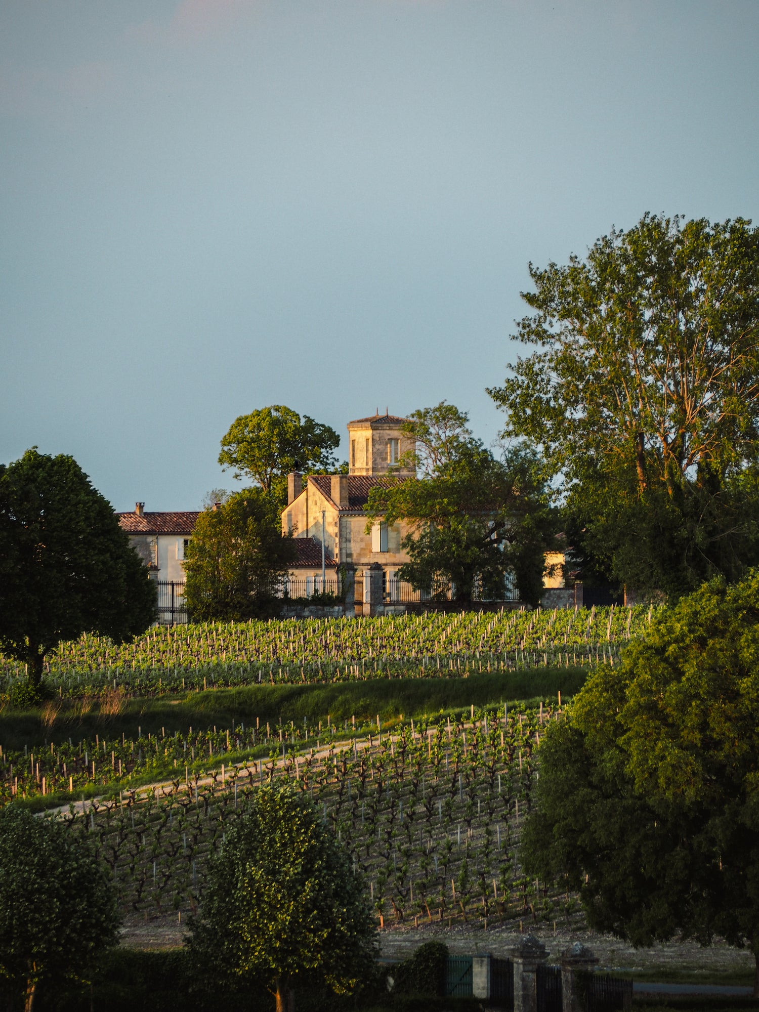 DBR Lafite Introduces Anseillan – Goedhuis Waddesdon